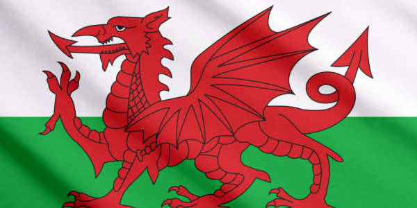 Welsh Language Standards - Learning and Work Institute